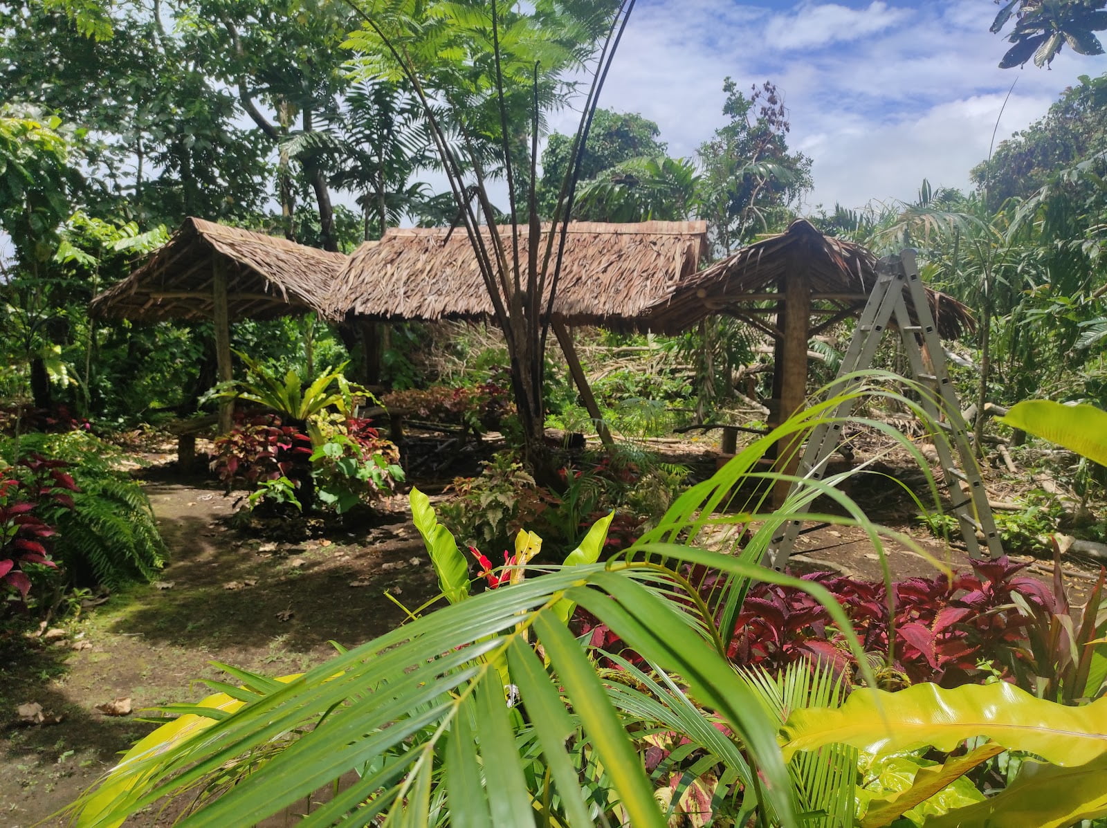 Maewo Island na vlastní pěst (průvodce 2025)